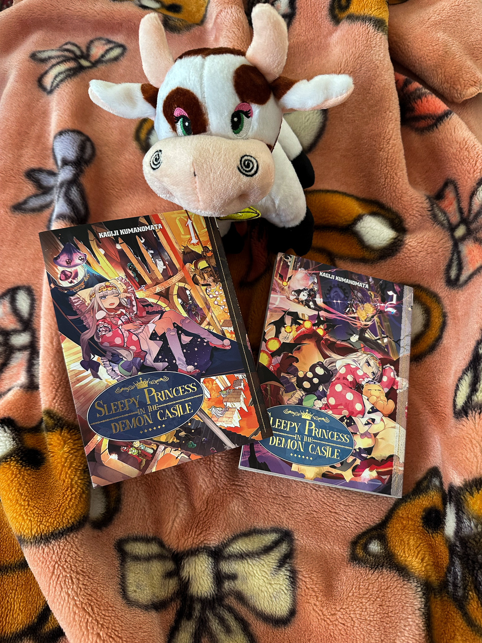 Comment la princesse Syalis redéfinit le shonen médiéval-fantastique